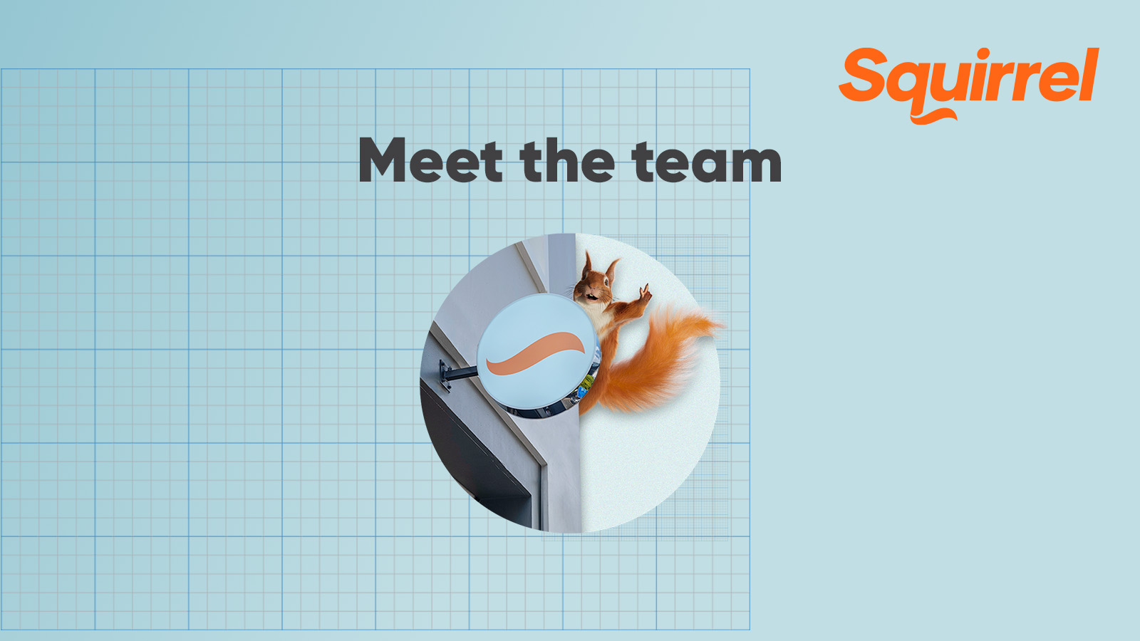Meet the team – Squirrel