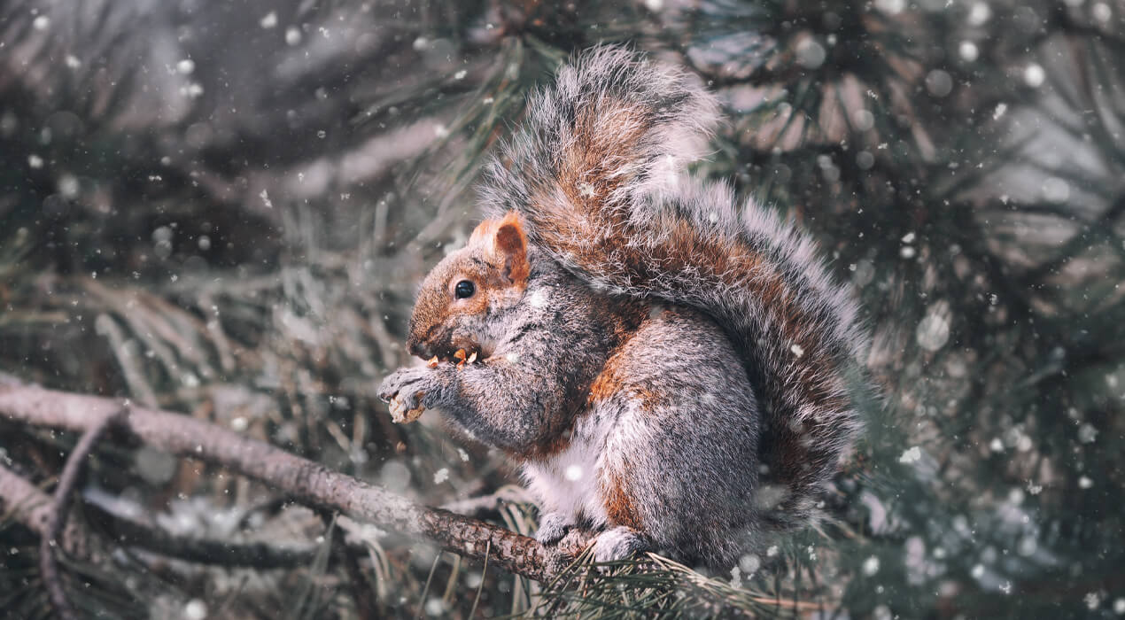 OCR & Market update: Winter is here, but the (slow) thaw is on its way