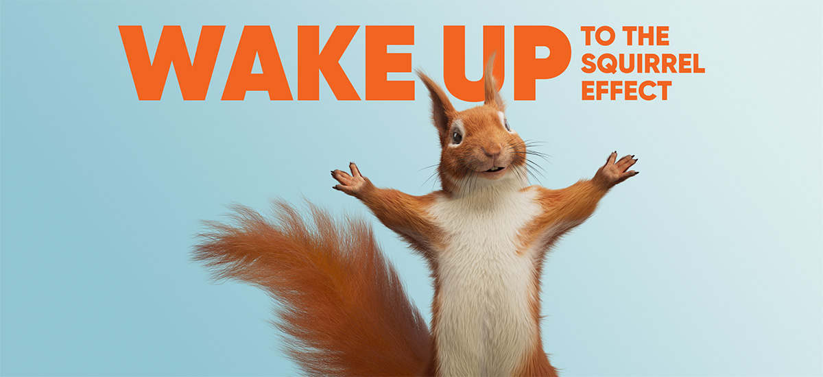 What's the new Squirrel brand campaign all about?